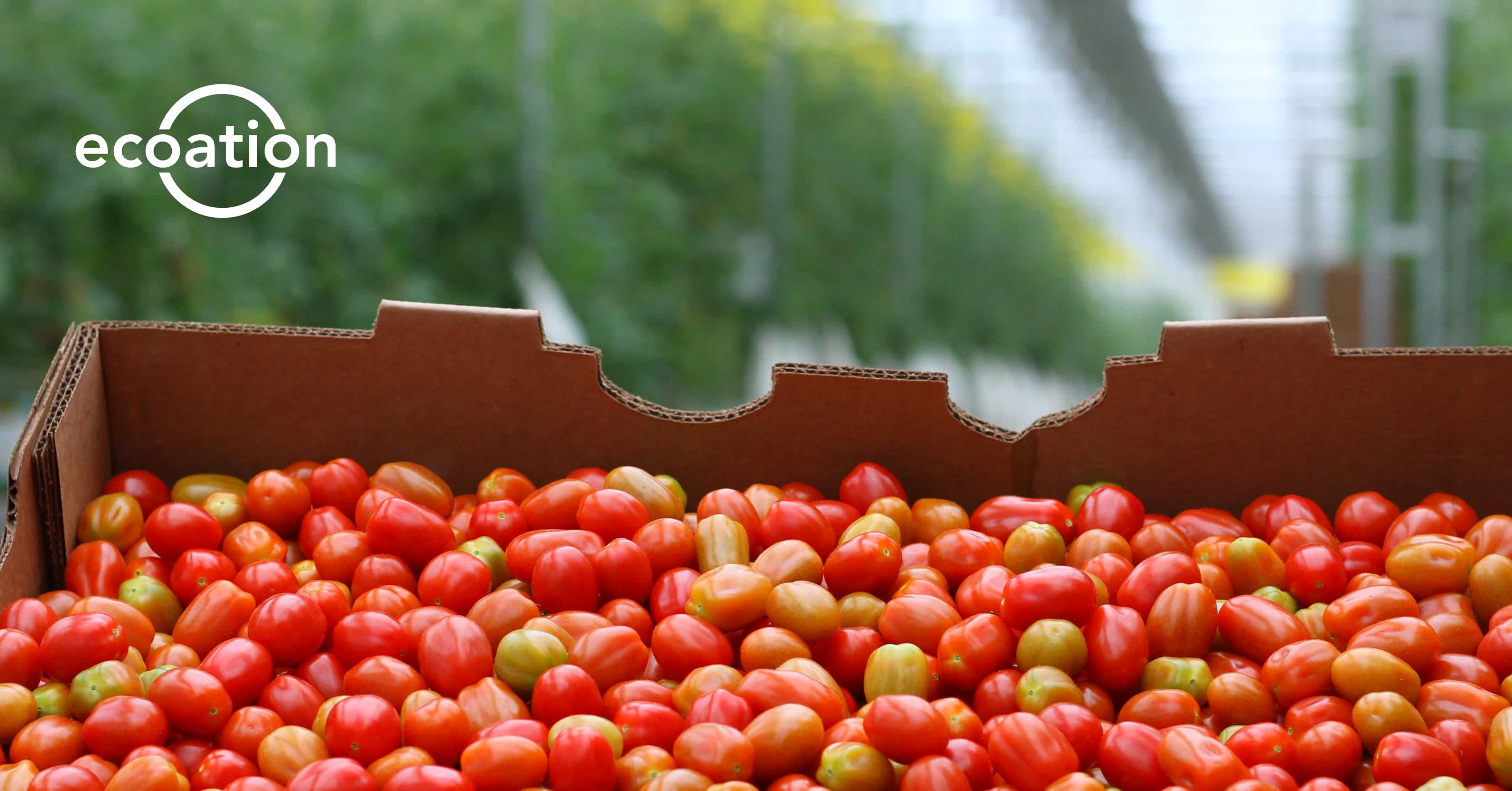IPM & Yield Forecasting Software Platform from ecoation
